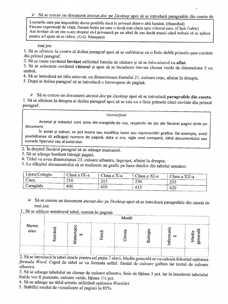 Fisa de Lucru - Atestat | PDF