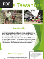 Cultura y Origen de los Chorotegas | PDF | Mesoamérica | Centroamérica