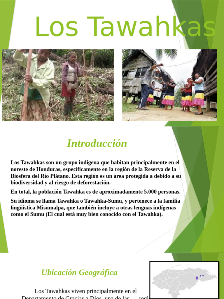 Los Tawahkas | PDF | Honduras