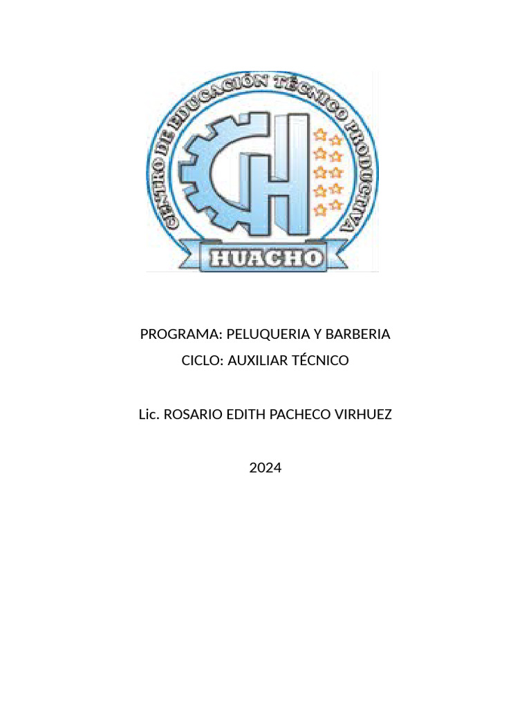 Programa Peluquerua y Barberia | PDF