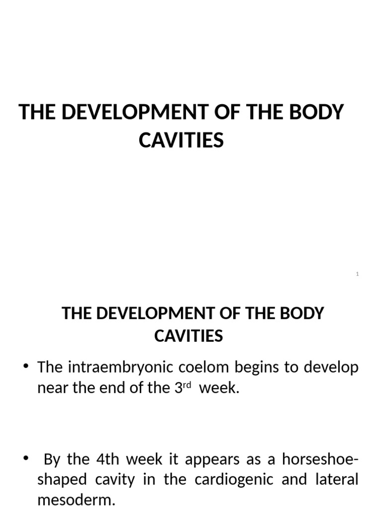 Development of Embryonic Body Cavities | PDF | Peritoneum | Anatomy