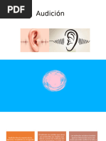 Organización del Colículo Inferior | PDF | Corteza cerebral | Neurona