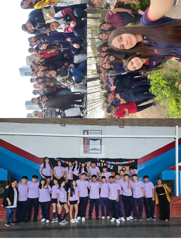 Diseño Sin Título - 20250325 - 222826 - 0000 | PDF