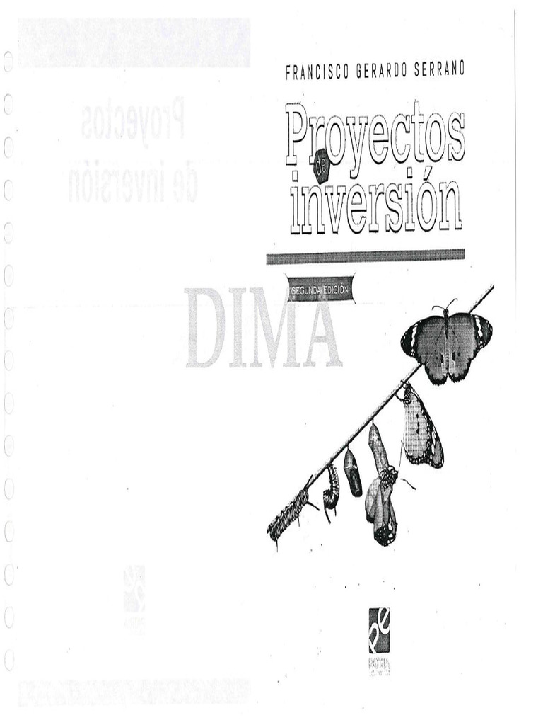 Proyectos de Inversion Francisco Gerardo Serrano Compress | PDF