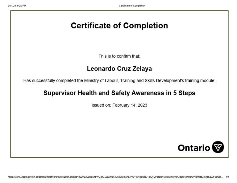 Certificate of Completion Supervisor Health and Safety Awareness in 5 Steps | PDF