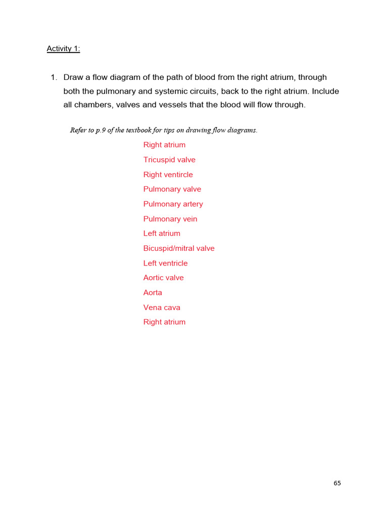 Cardiovascular System Activities - Memo | PDF | Heart | Circulatory System