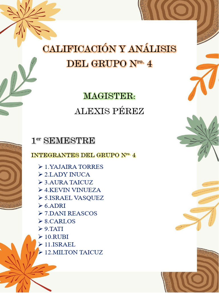CALIFICACIÓN Y ANÁLISIS DEL GRUPO Nro 4 | PDF