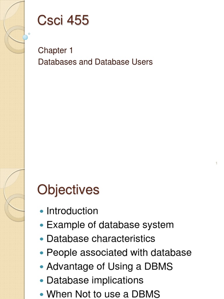 Csci 455 CH 1 | PDF | File System | Databases