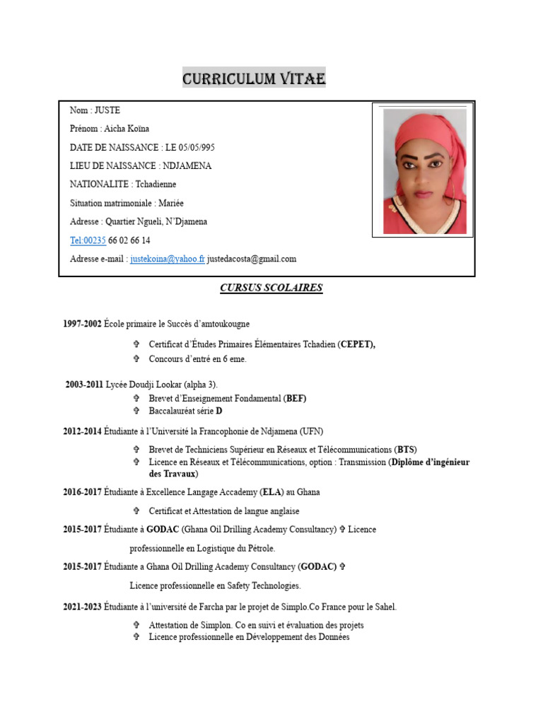 Curriculum Vitae - Docx1 103449 | PDF | Télécommunications | Informatique