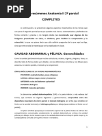 Anatomía del Peritoneo y Cavidad Abdominal | PDF | Peritoneo | Abdomen