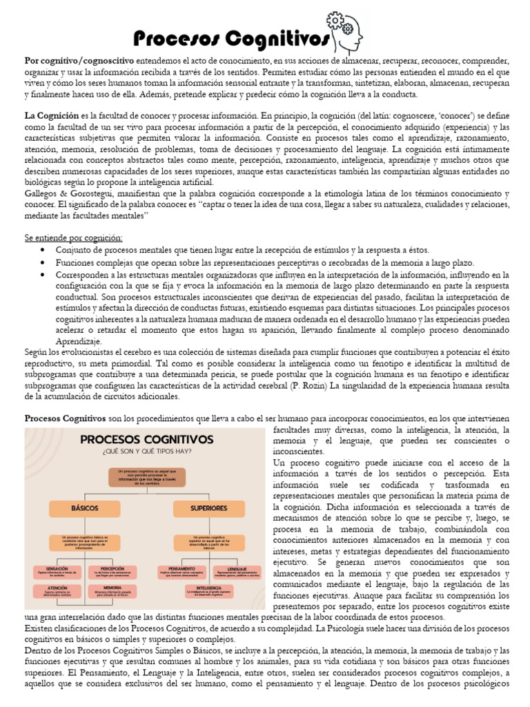 Procesos Mentales | PDF | Percepción | Pensamiento