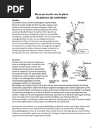 Practicum Sporeplanten en Zaadplanten 2024-2025 | PDF
