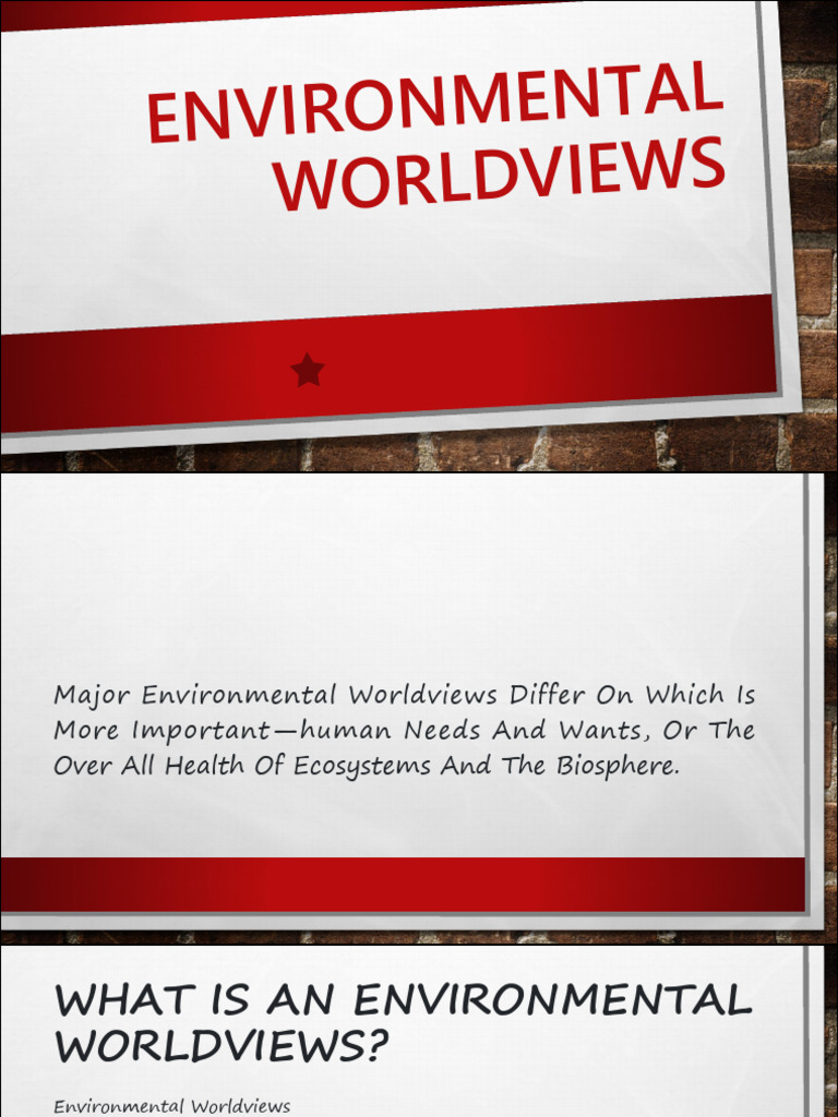 Environmental Worldviews | PDF