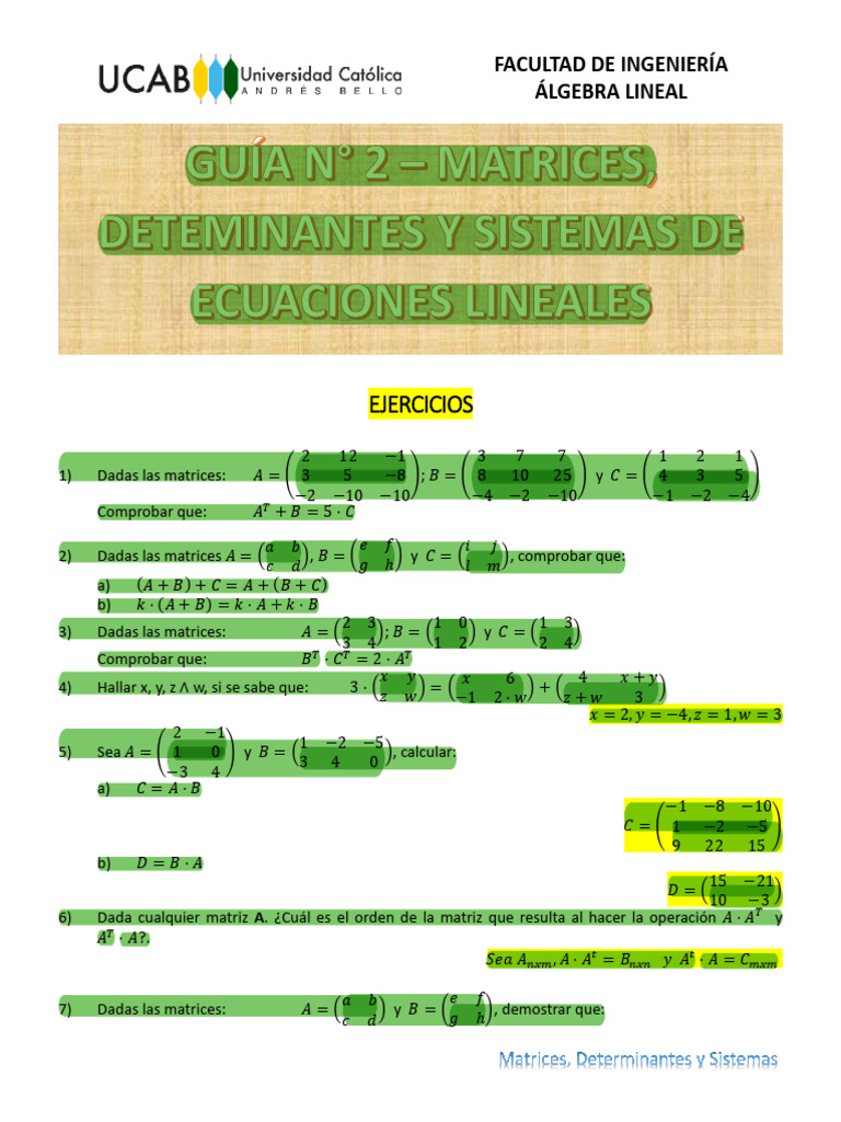 Ejercicios de Álgebra Lineal: Matrices y Determinantes | PDF | Matriz ...