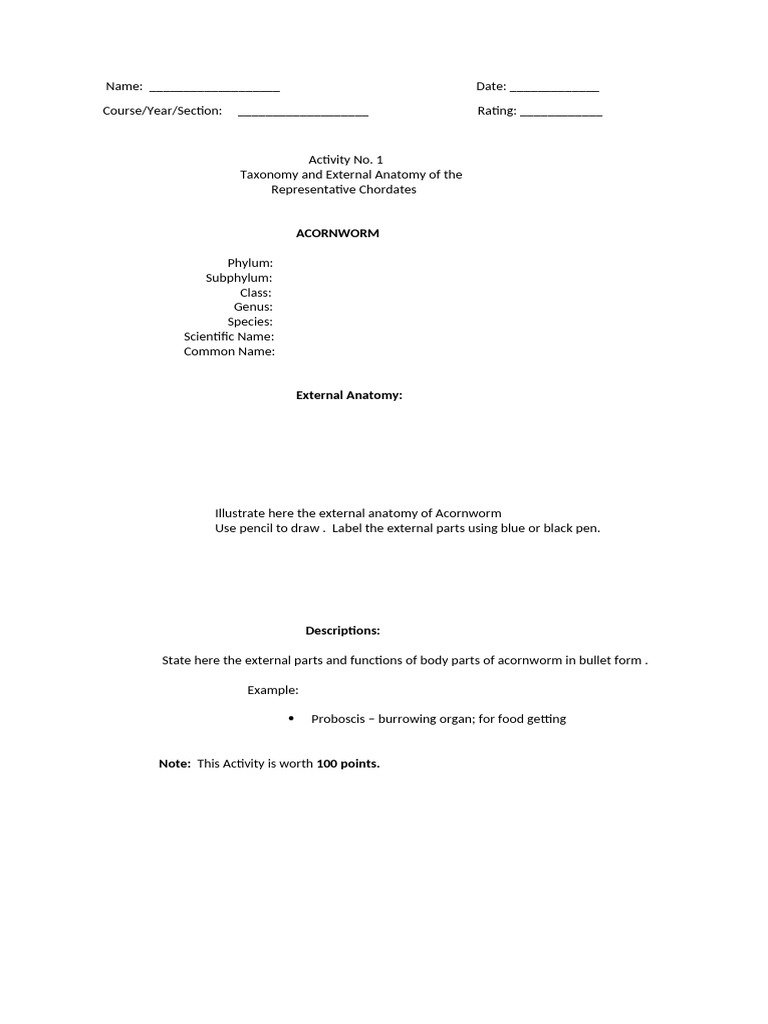 CVA Activity 1 | PDF