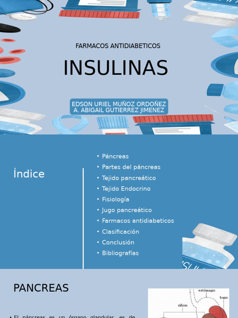 INSULINAS | PDF | Páncreas | Insulina