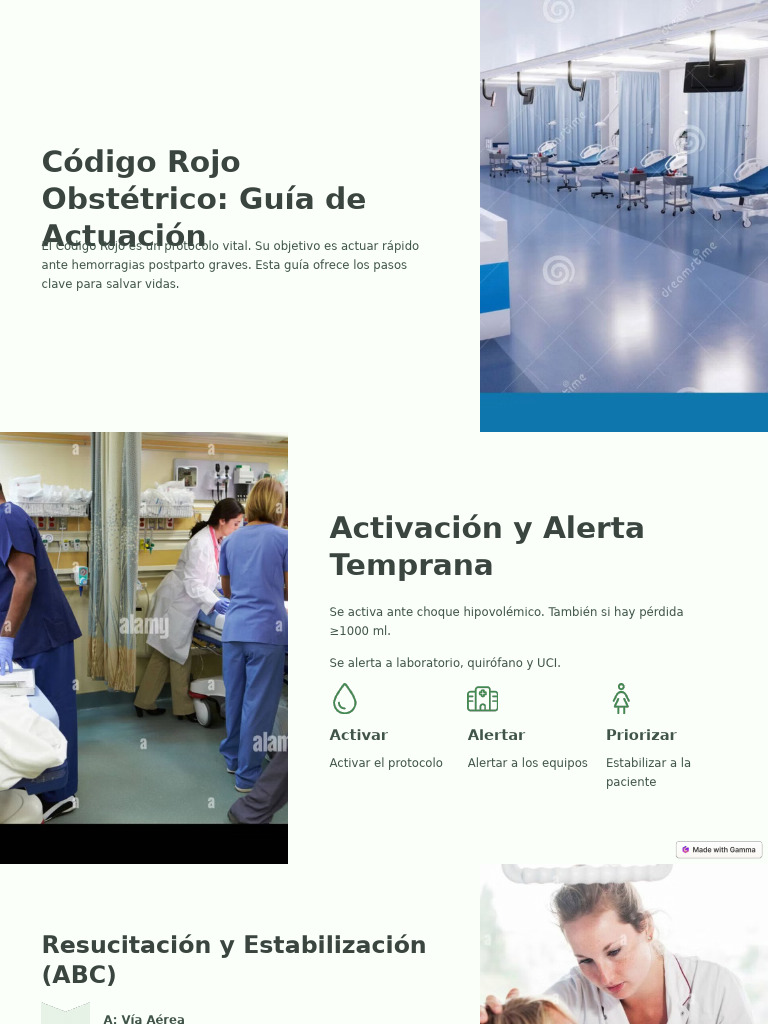 Codigo Rojo Obstetrico Guia de Actuacion | PDF
