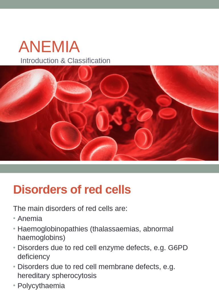 Understanding Anemia: Types and Causes | PDF | Anemia | Hemoglobin