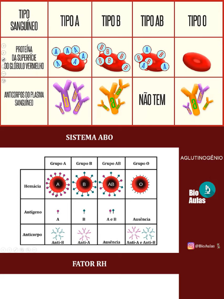 Sistema ABO e fator Rh | PDF