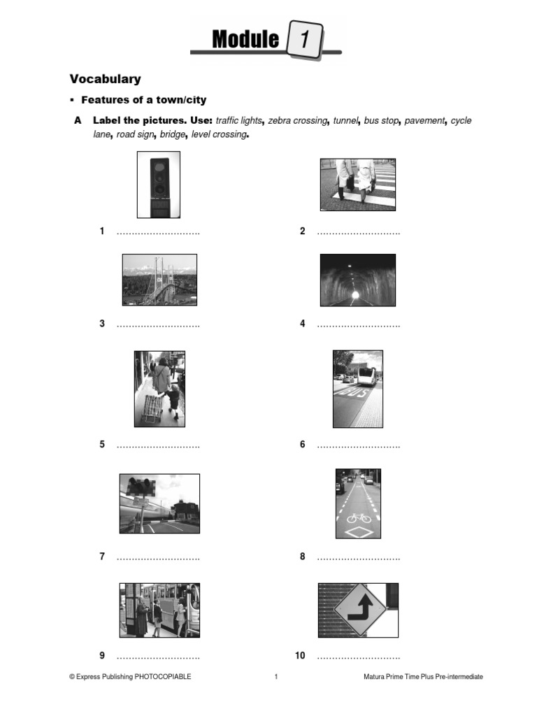 Town Features and Activities Guide | PDF