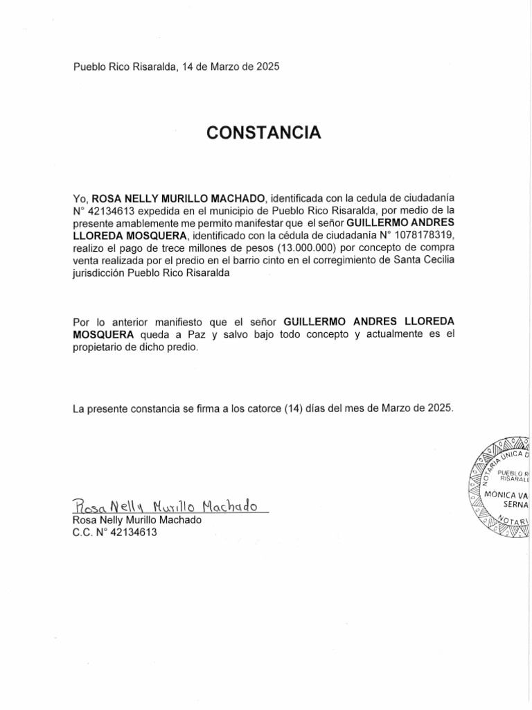 CONSTANCIA | PDF