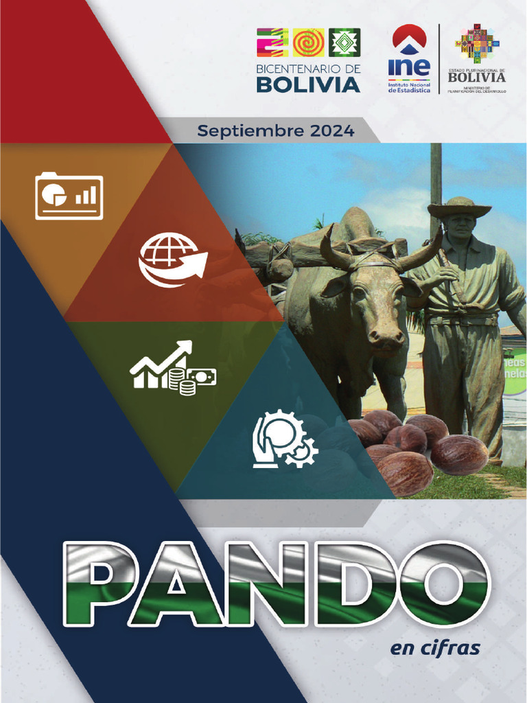 Boletin Pando en Cifras - 2024 | PDF