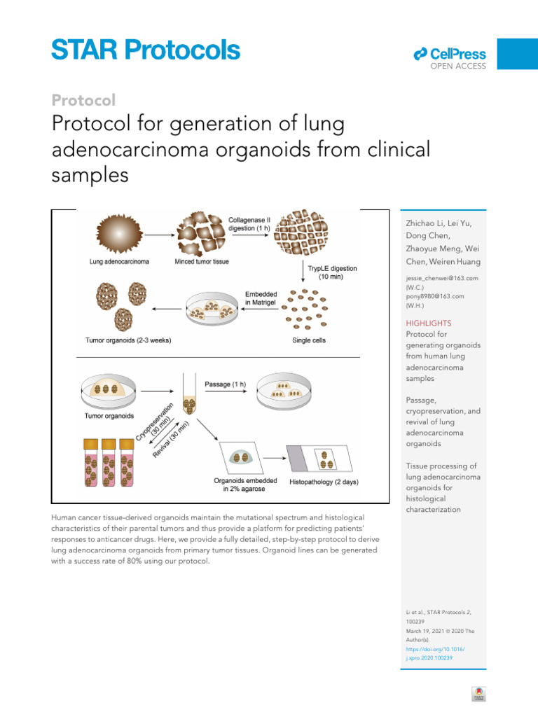 Protocol for generation of lung adenocarcinoma organoids from clinical ...