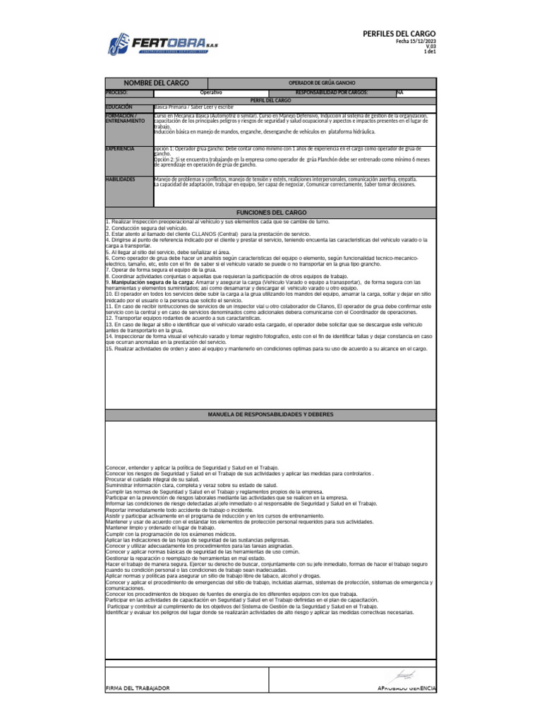 Perfiles de Cargo | PDF | Seguridad y salud ocupacional | Business