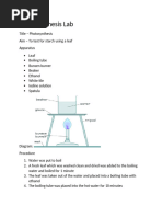 Student Practical Worksheet - Tetsing For Starch | PDF