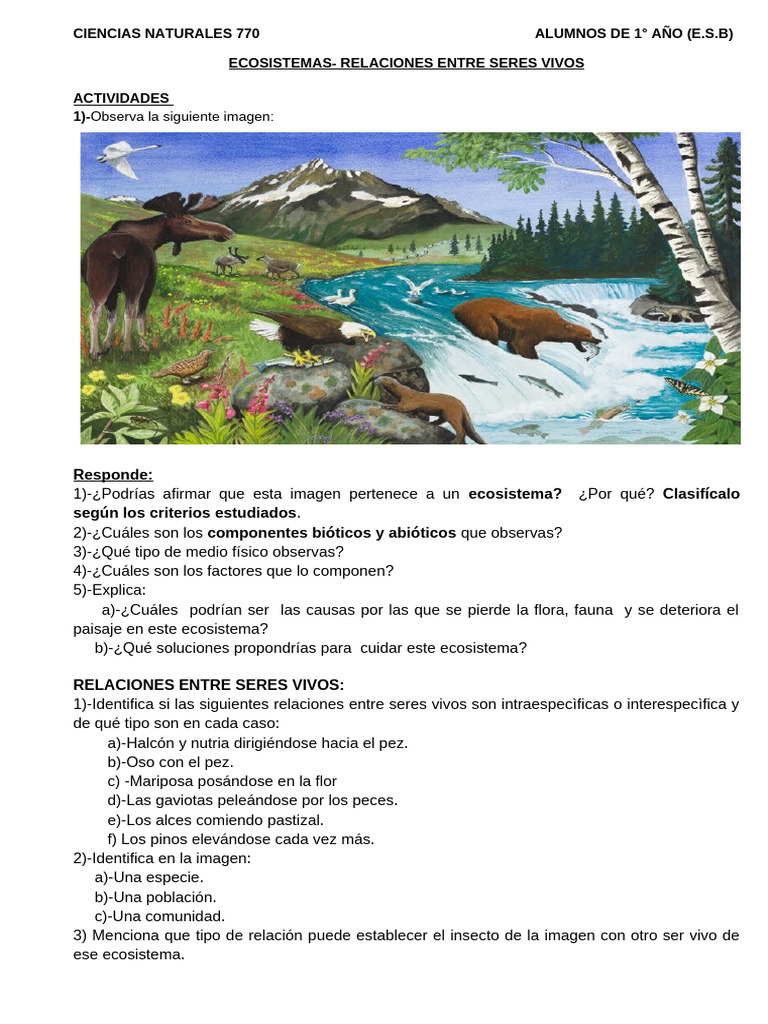 ACTIVIDADES DE INTEGRACION ECOSISTEMAS-RELACIONES ENTRE SERES VIVOS | PDF