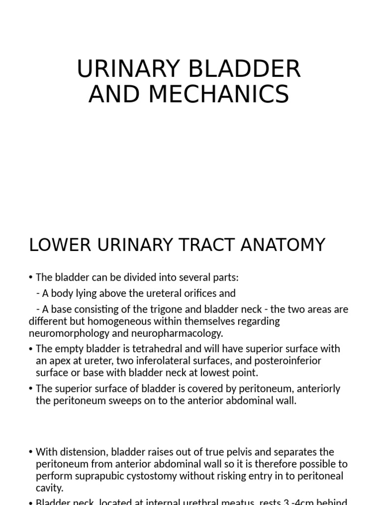 Bladder Anatomy and Physiology | PDF | Urination | Cell Membrane