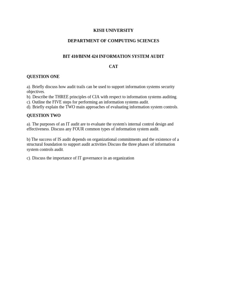 Information Systems Audit Overview | PDF