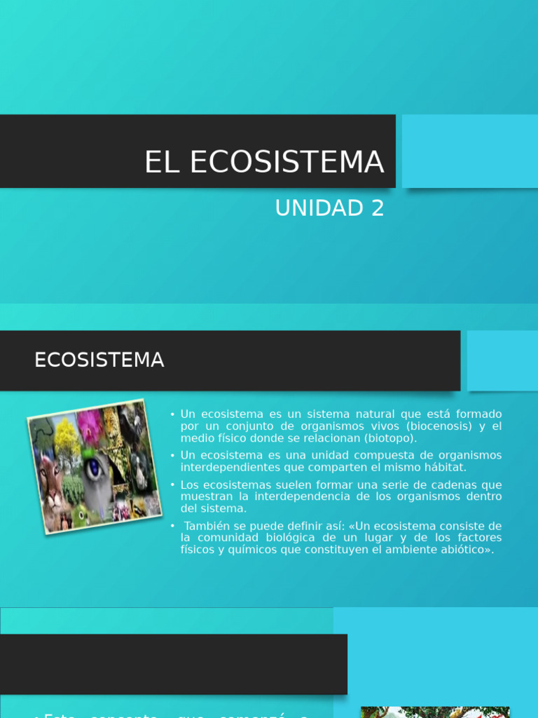 EL ECOSISTEMA | PDF | Ecosistema | Ecología