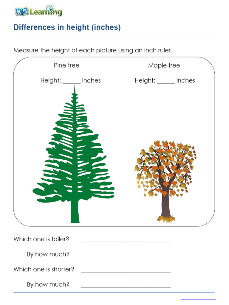 Grade 2 Measurement Length Differences Inches A | PDF