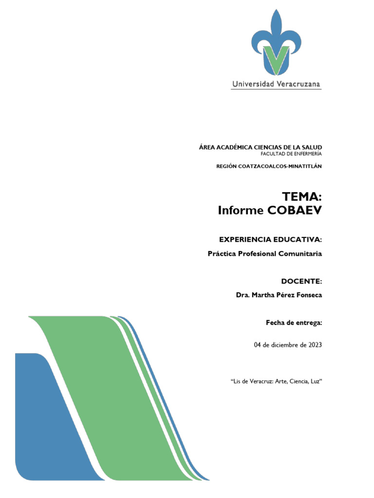 Informe COBAEV | PDF | Adolescencia | Adultos