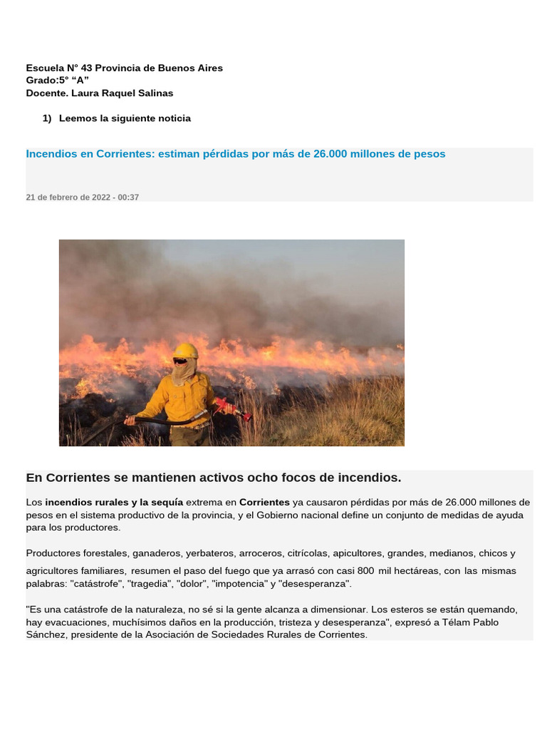 Diagnostico 5° - A | PDF | Verbo | Los bosques