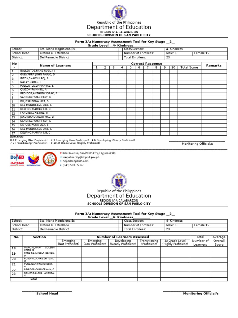 Numeracy-Assessment-Tool | PDF