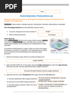 PhotosynthesisLabSE Key | PDF | Photosynthesis | Carbon Dioxide