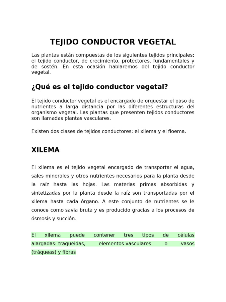 Tejido Conductor Vegetal | PDF | Fisiología de las plantas | Botánica