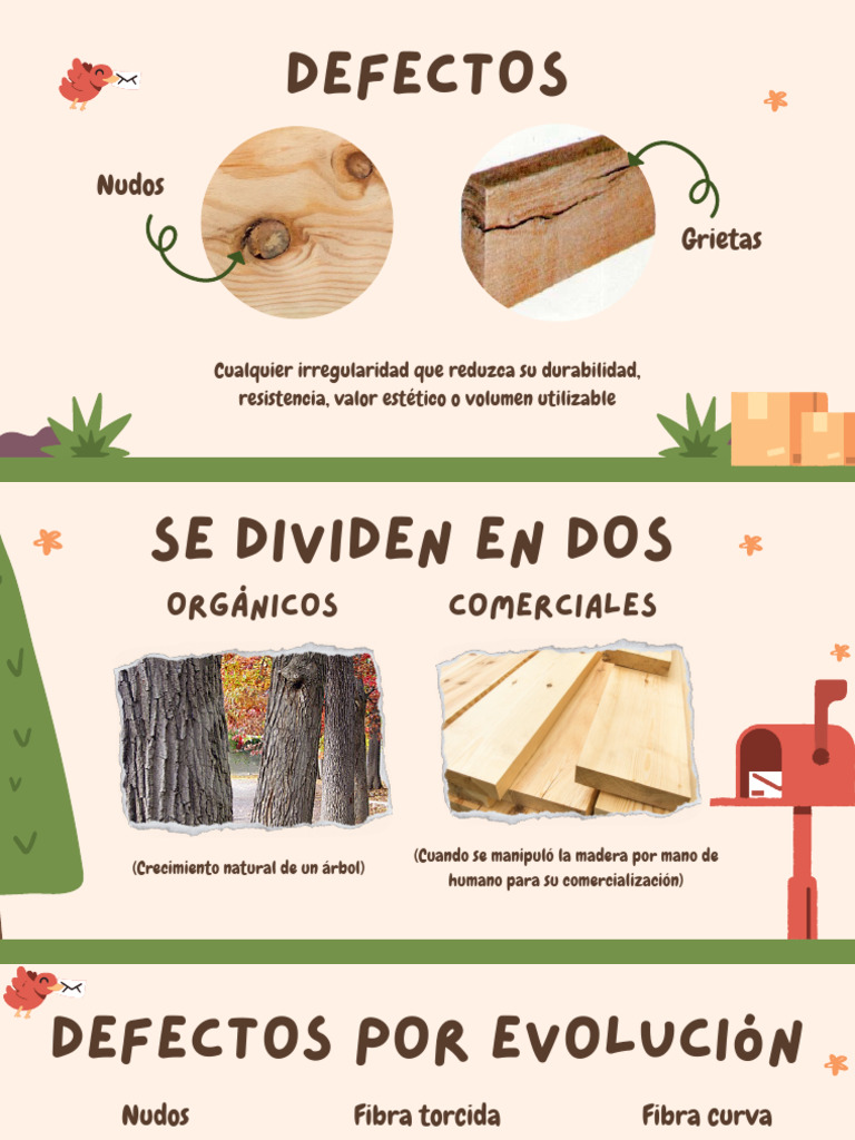 Tema 6 Enfermedades & Defectos 24 Comprimido | PDF | Madera | Naturaleza