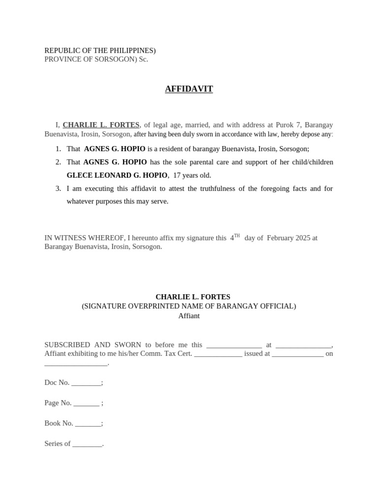 Brgy Affidavit Solo Parent | PDF