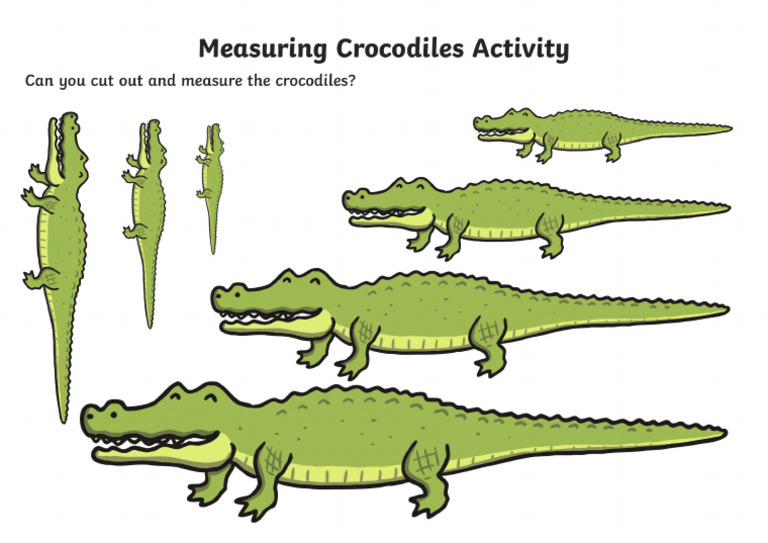 T T 253454 Measuring Crocodiles Activity - Ver - 3 | PDF