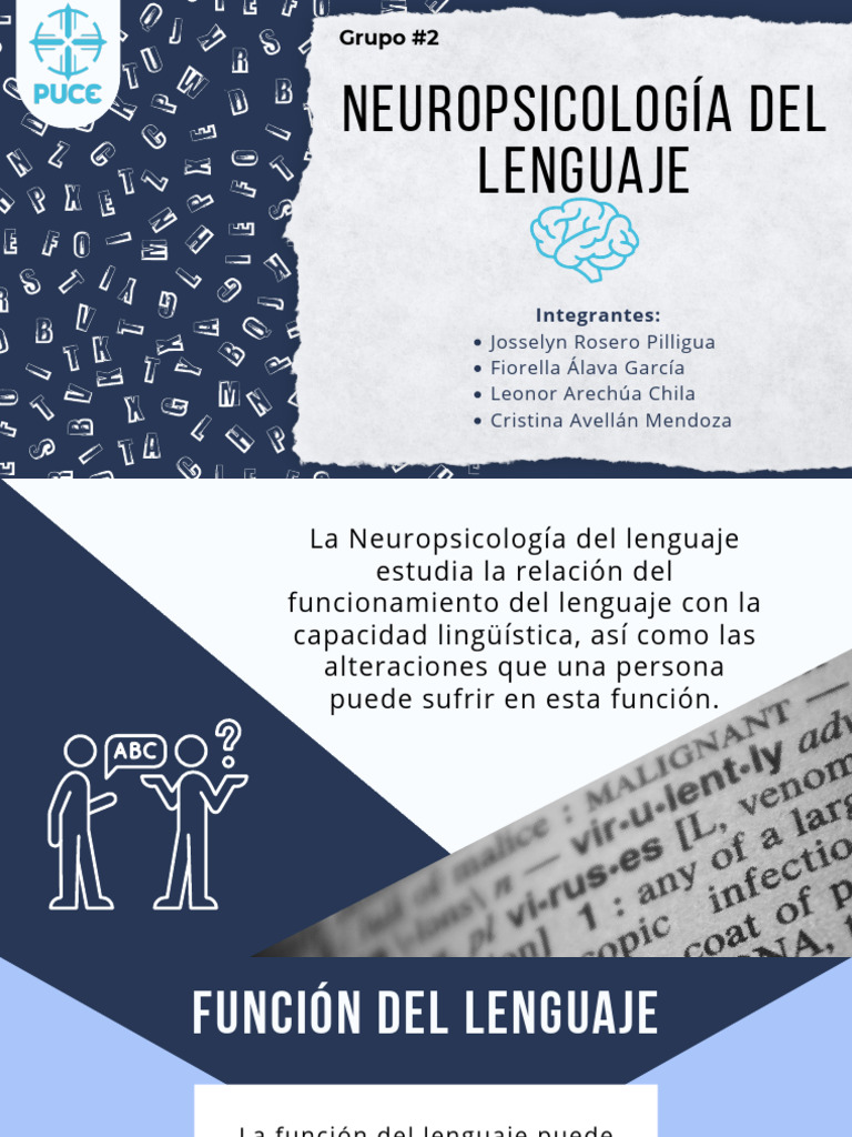 Lenguaje Neuro Pdf Afasia Neurociencia