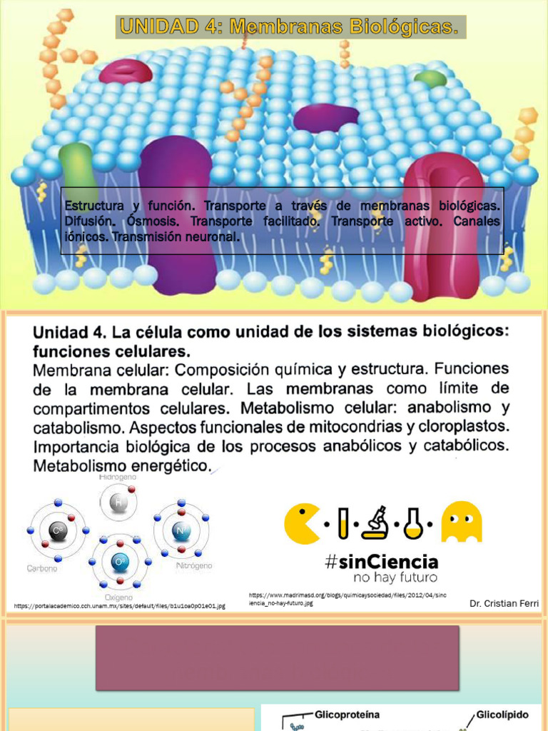Clase 4. Membranas Biologicas | PDF | Membrana celular | Membrana biológica