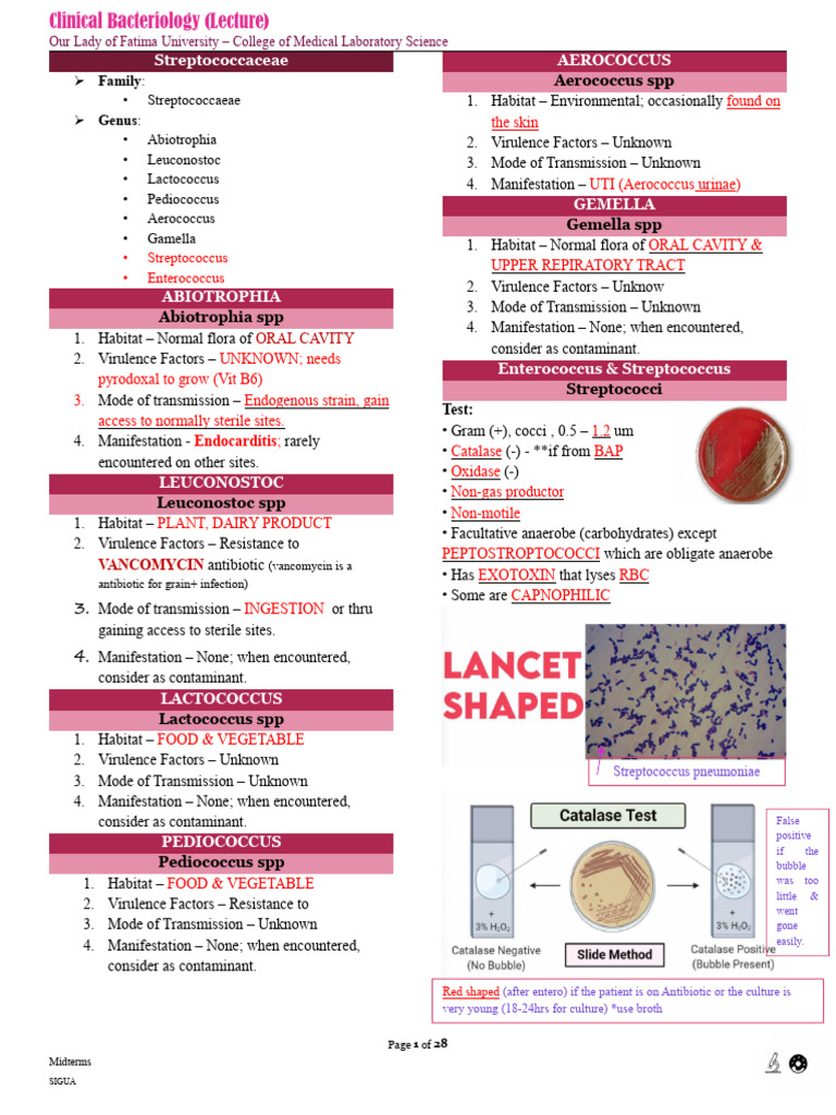 Clinical Microbiology-Midterms | PDF | Streptococcus | Microbiology