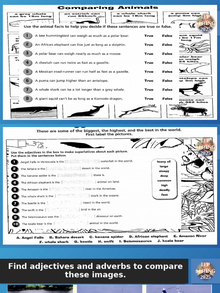 Comparatives and Superlatives Guide | PDF | Adjective | Adverb