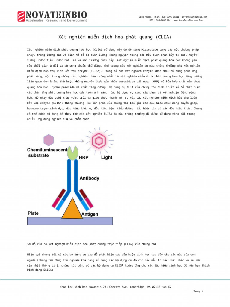 Chemiluminescence Immunoassay (CLIA) Tech Info | PDF