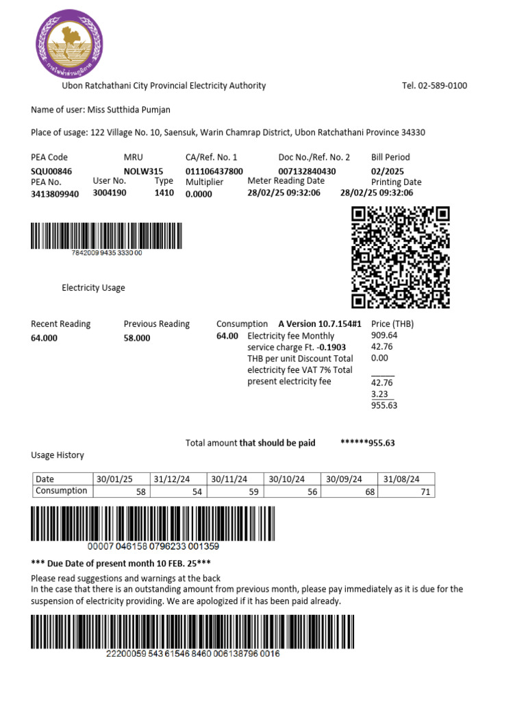 Provincial Electricity 28022025 PDF | PDF