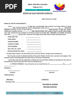 Brgy SRE Format | PDF