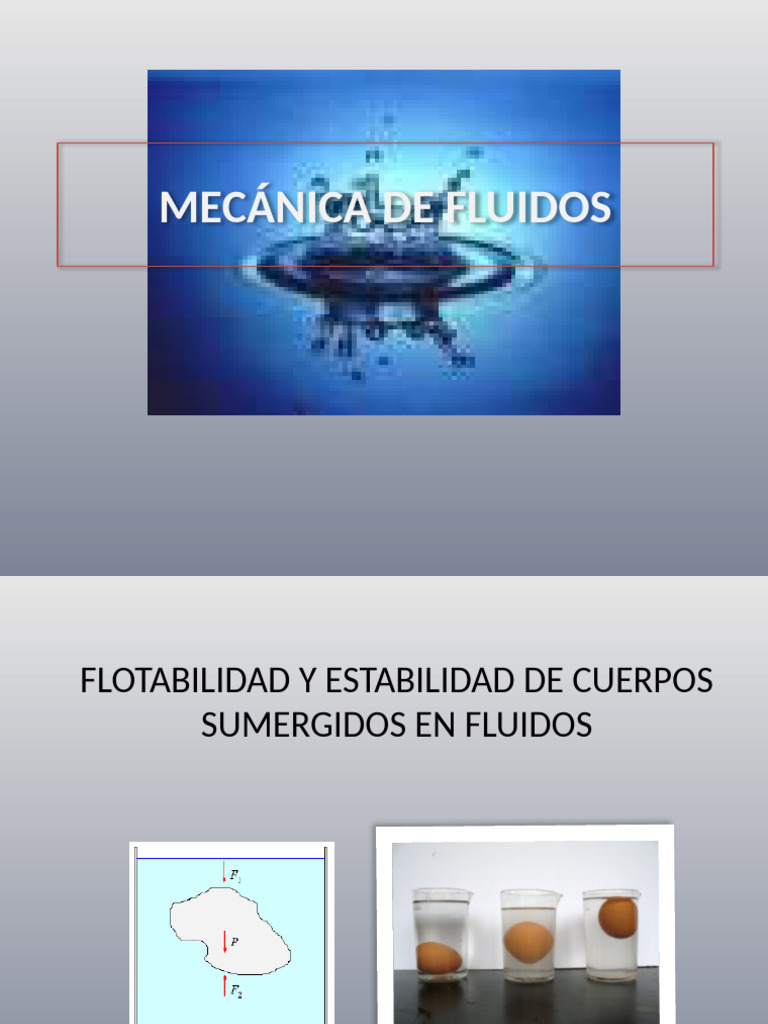 Flotabilidad y Estabilidad | PDF | Fuerza | Dinámica (Mecánica)